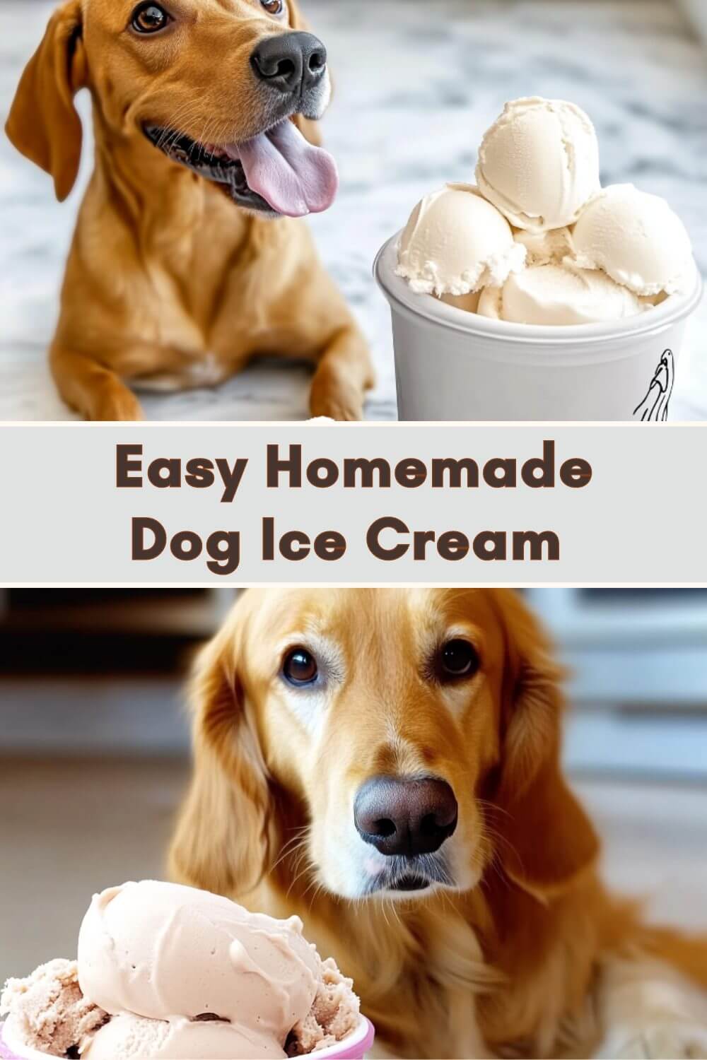 Easy Homemade Dog Ice Cream – Recipecs