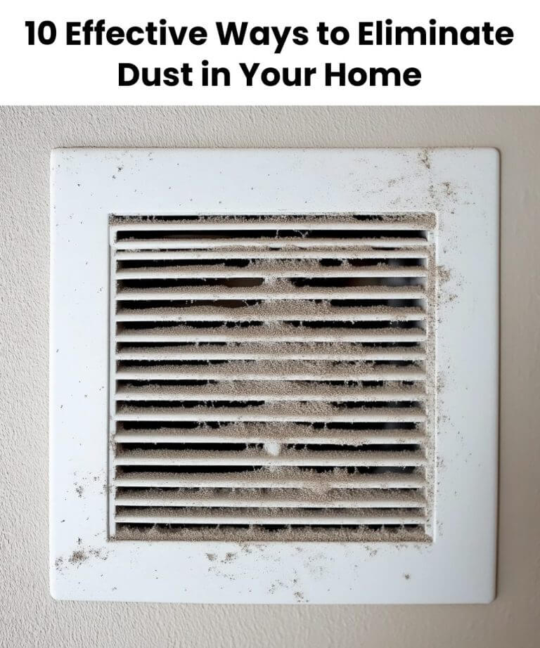 10 Effective Ways to Eliminate Dust in Your Home – Recipecs
